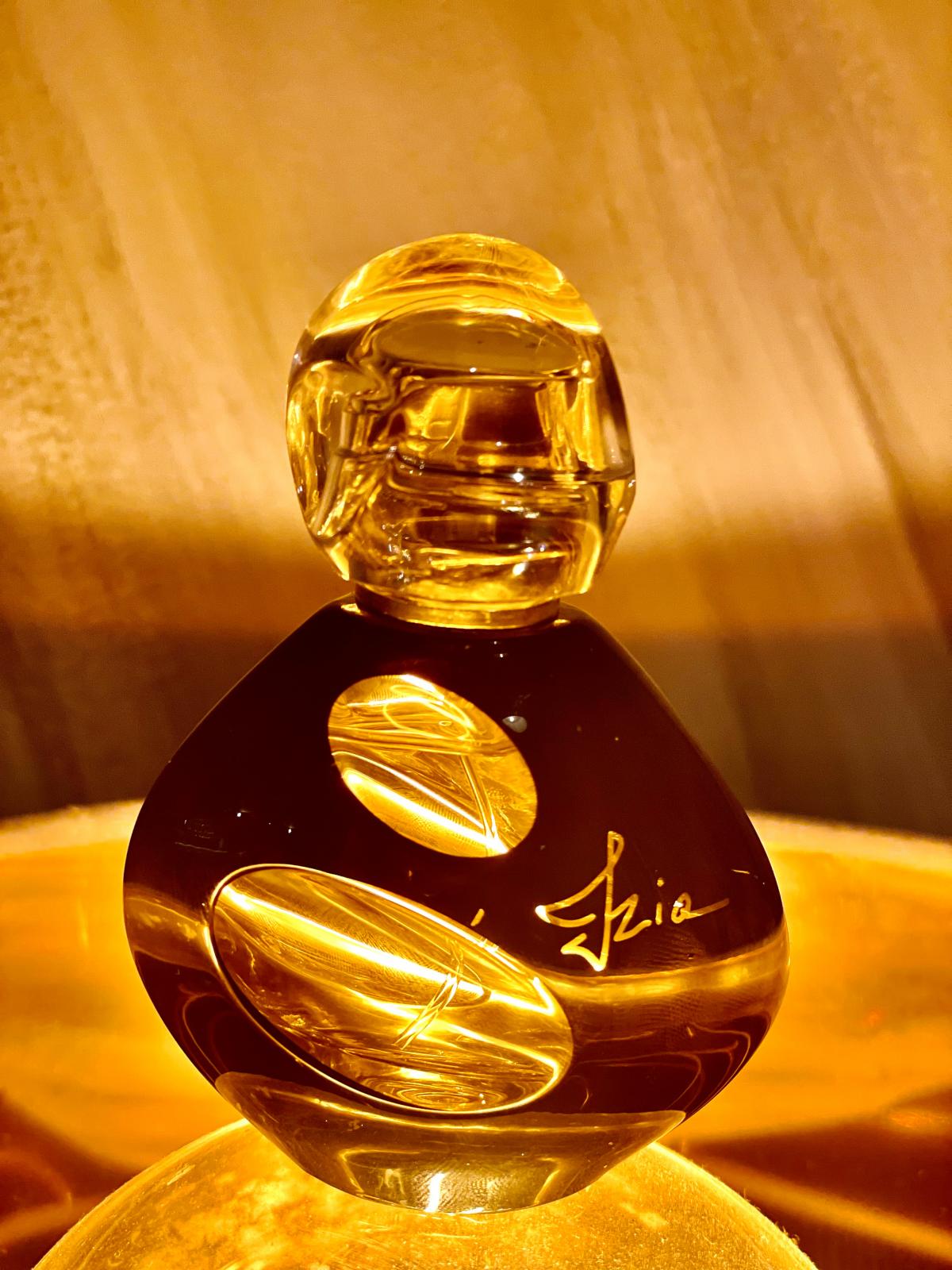 Izia La Nuit Sisley perfume - a fragrance for women 2021