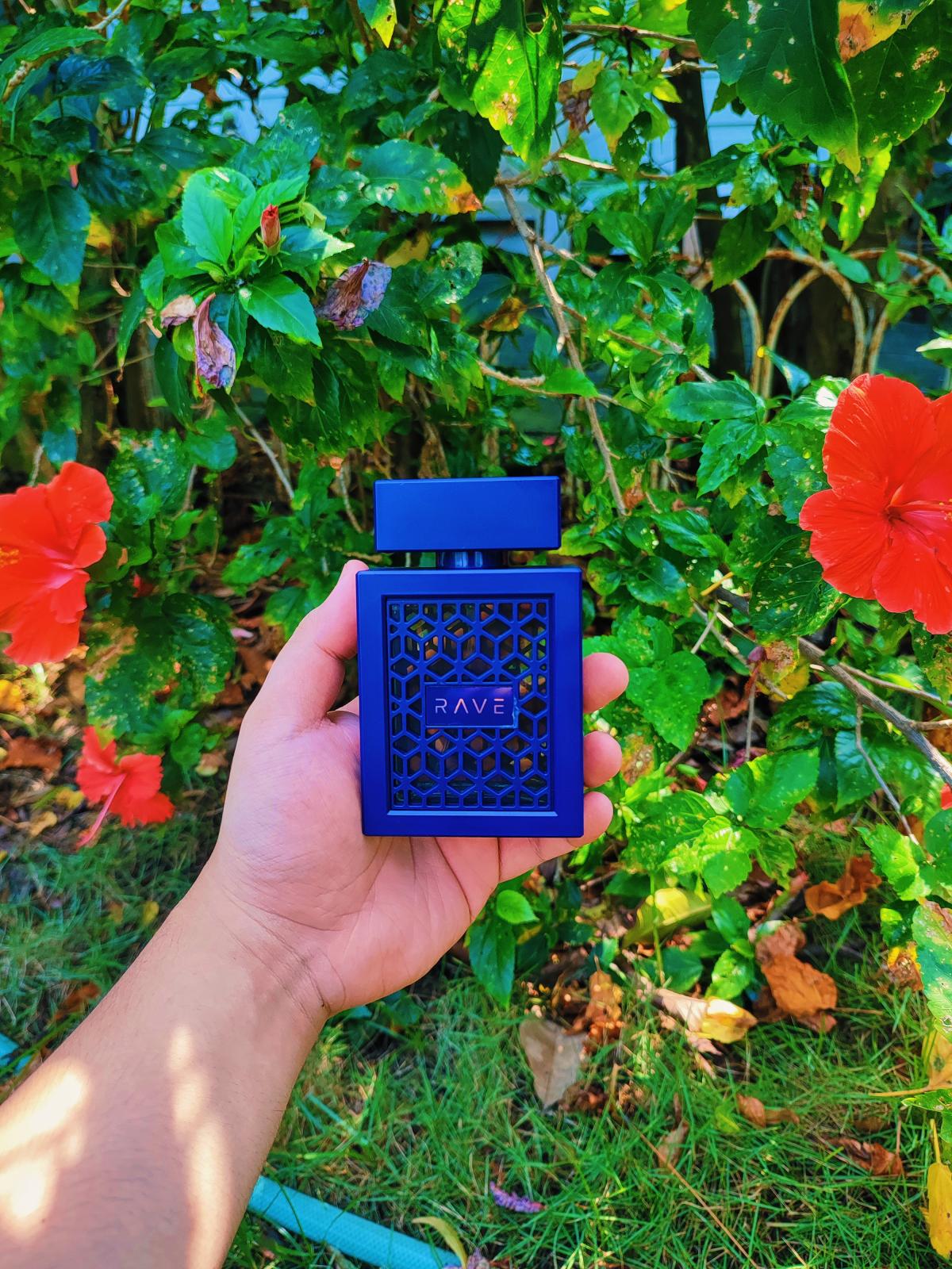 Now Intense RAVE cologne - a fragrance for men 2022