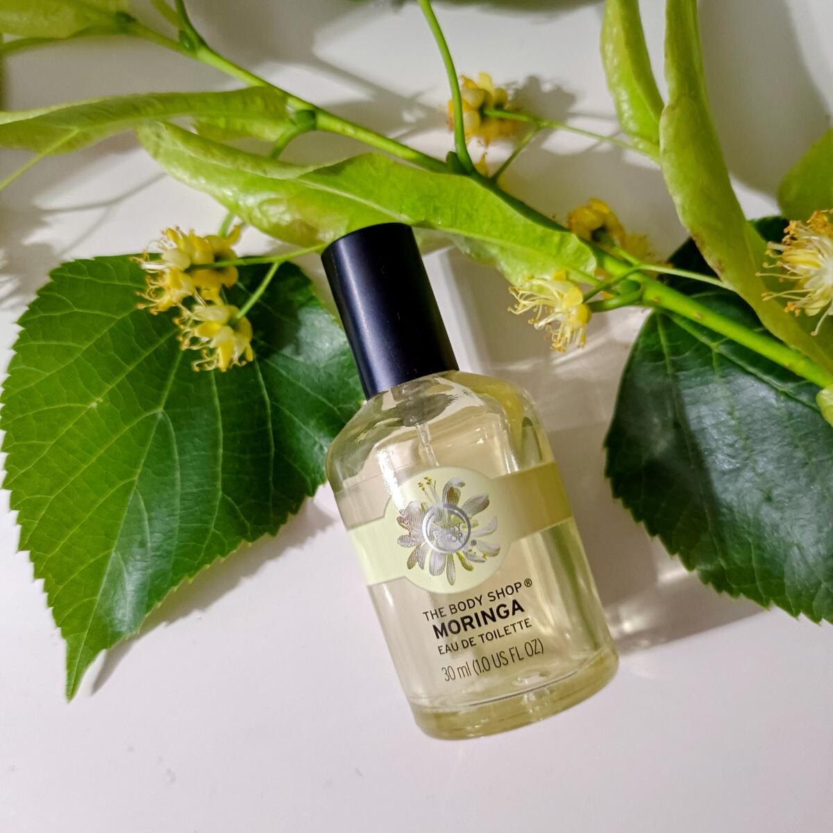 Moringa The Body Shop perfume - a fragrance for women and men 2014