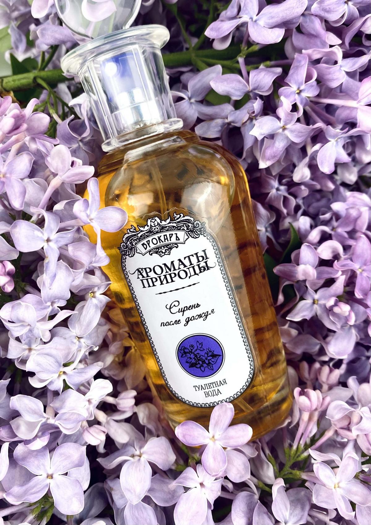 Сирень после дождя - Lilac After The Rain Brocard аромат — аромат для ...