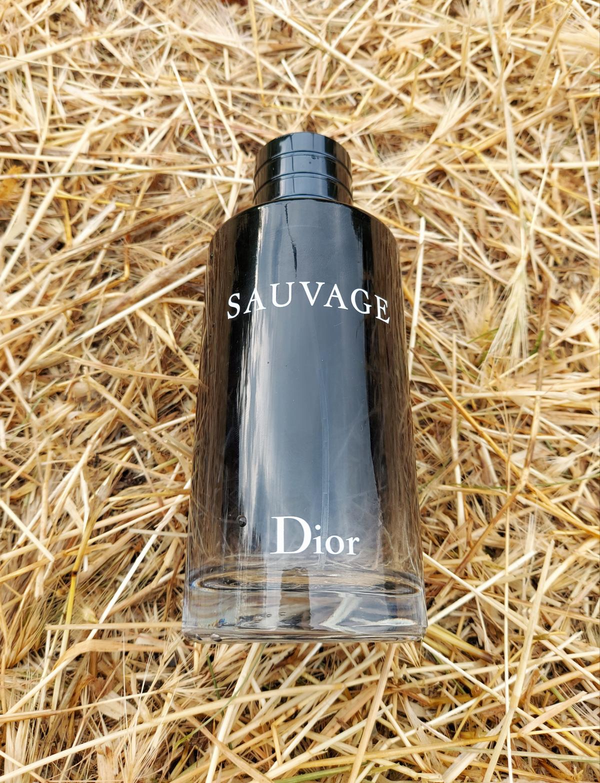 Sauvage Christian Dior cologne - a fragrance for men 2015