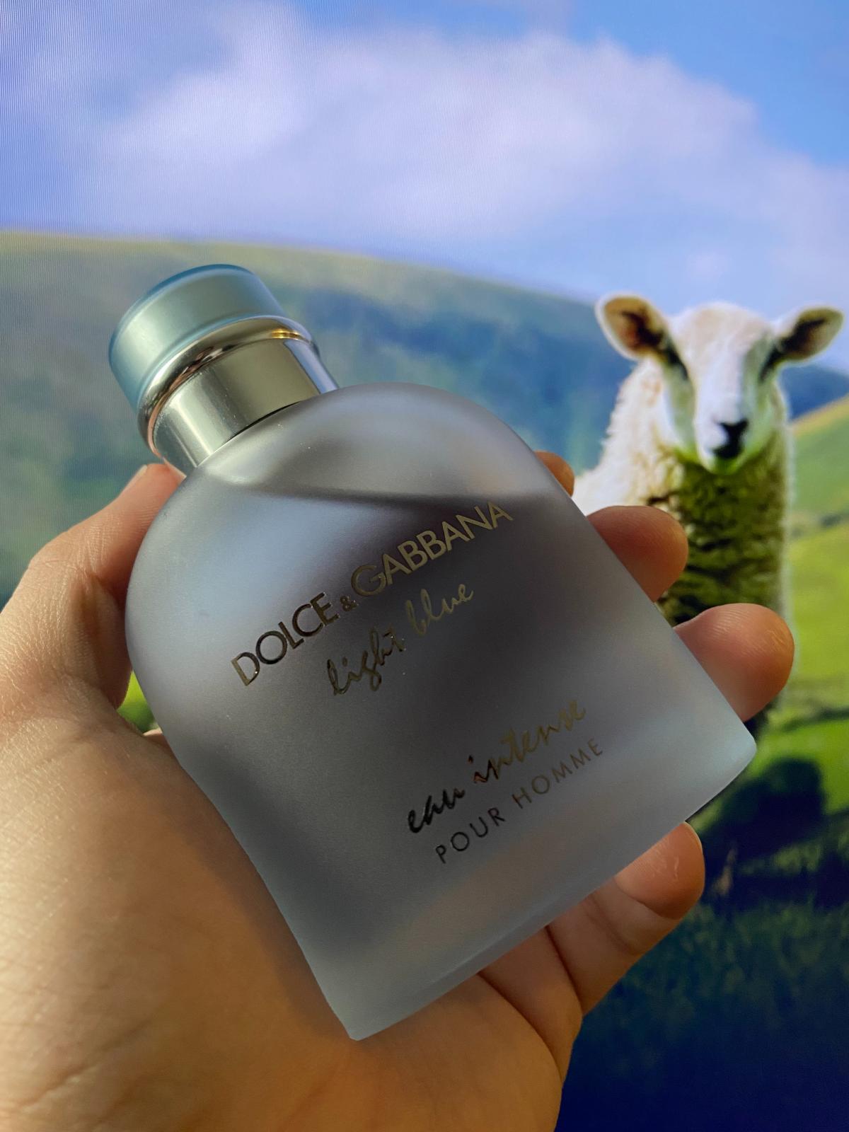 Light Blue Eau Intense Pour Homme Dolce&Gabbana cologne - a fragrance ...