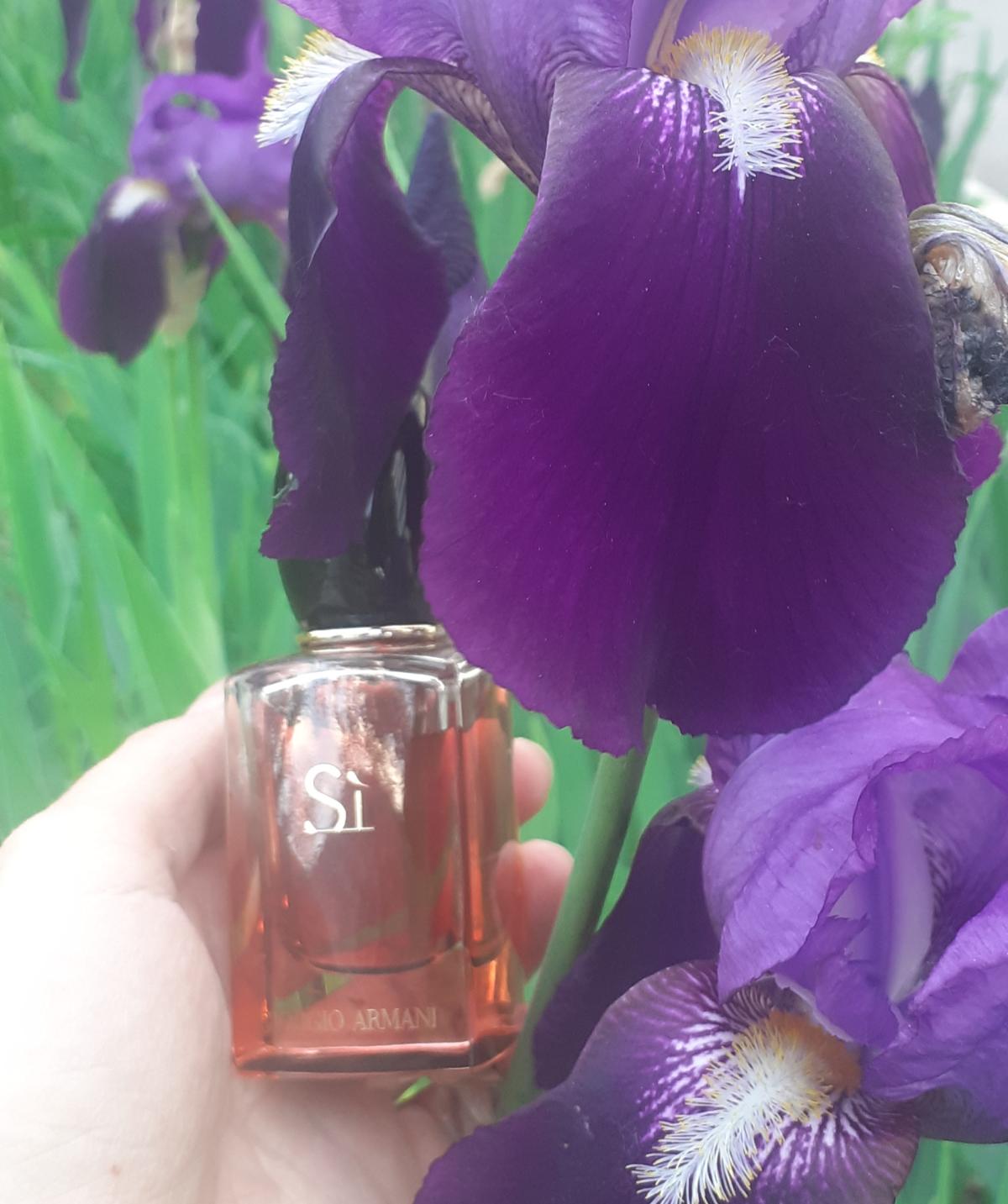 Sì Intense 2021 Giorgio Armani perfume - a fragrance for women 2021