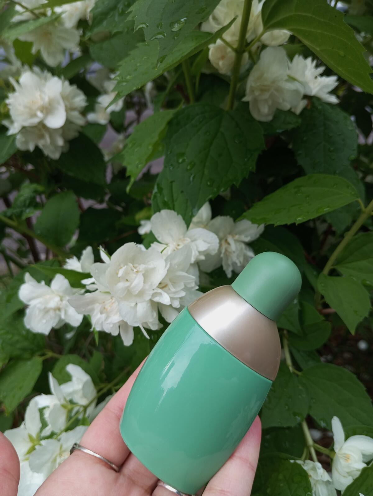 Eden Cacharel perfume - a fragrância Feminino 1994