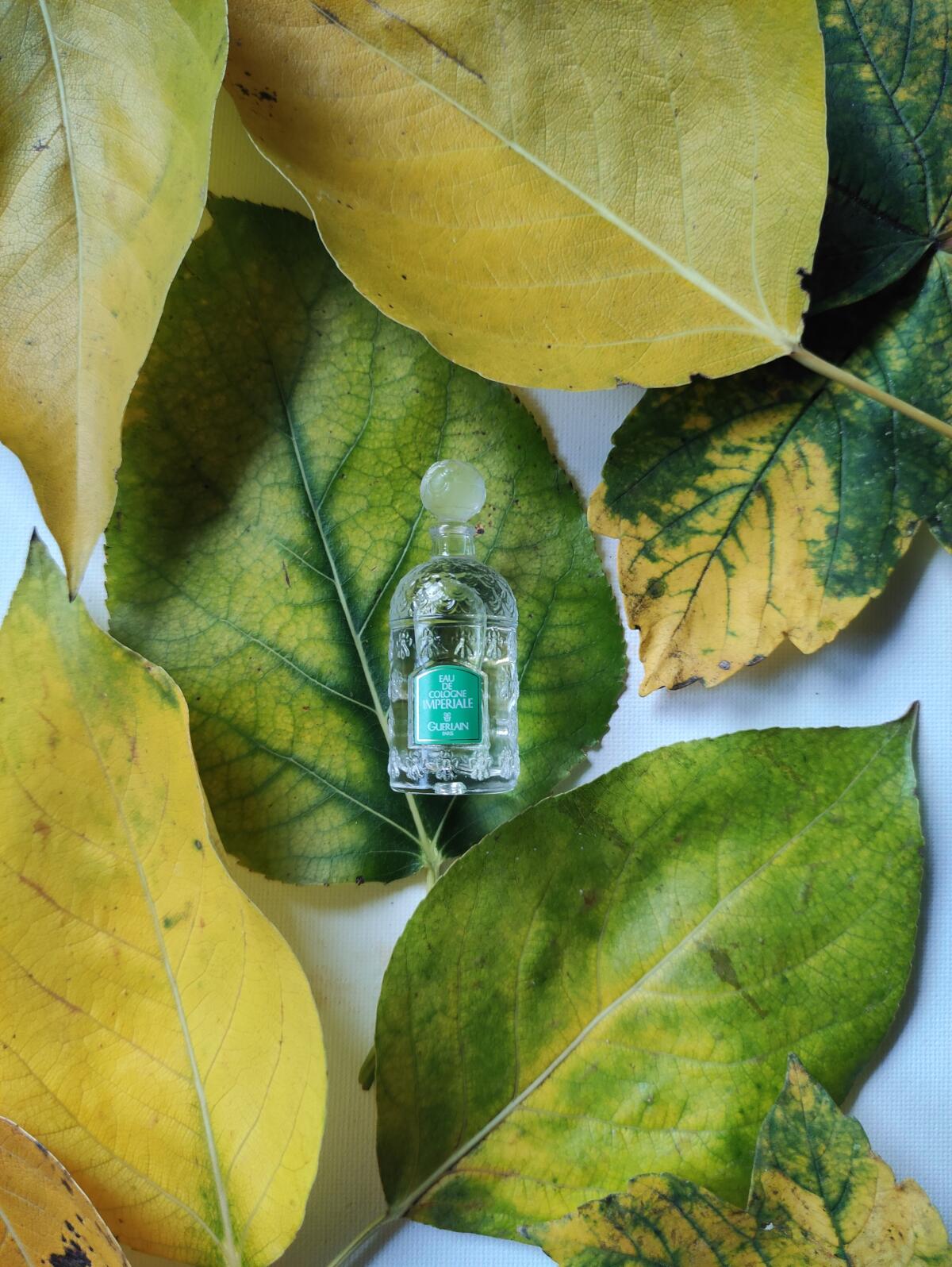 Eau de Cologne Imperiale Guerlain perfume - a fragrance for women 1860