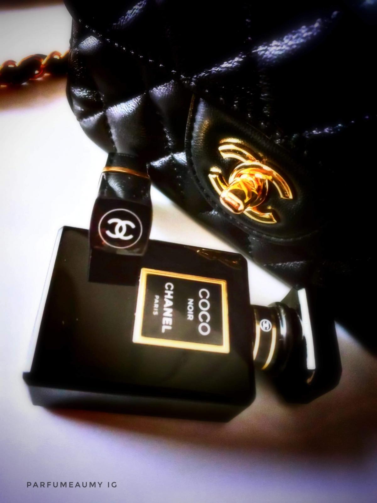 Coco Noir Chanel perfume - a fragrância Feminino 2012