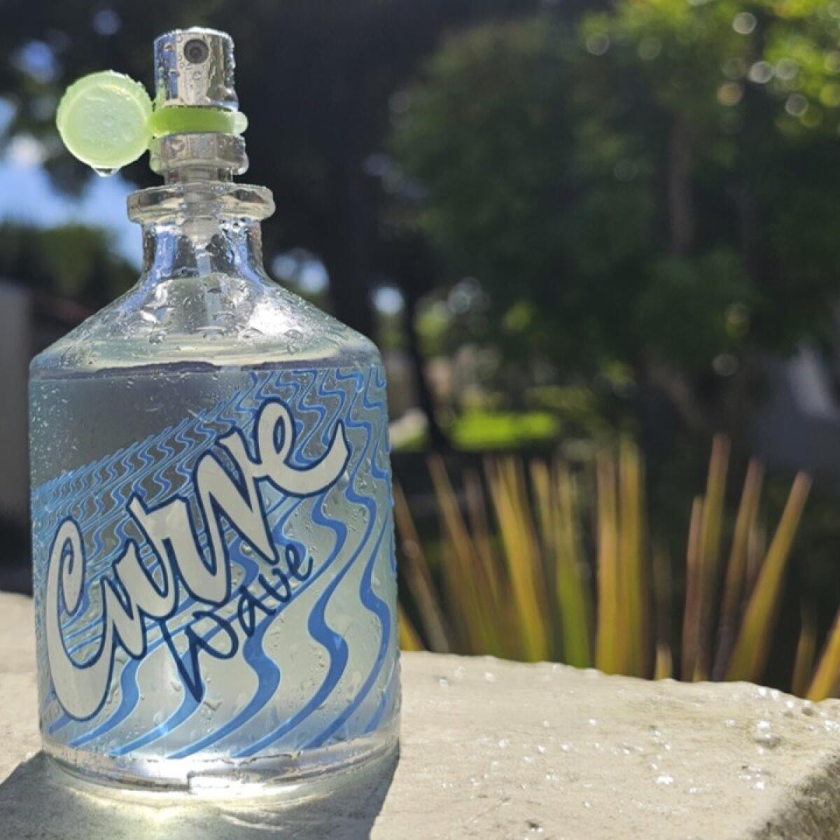 Curve Wave Liz Claiborne cologne - a fragrance for men 2005