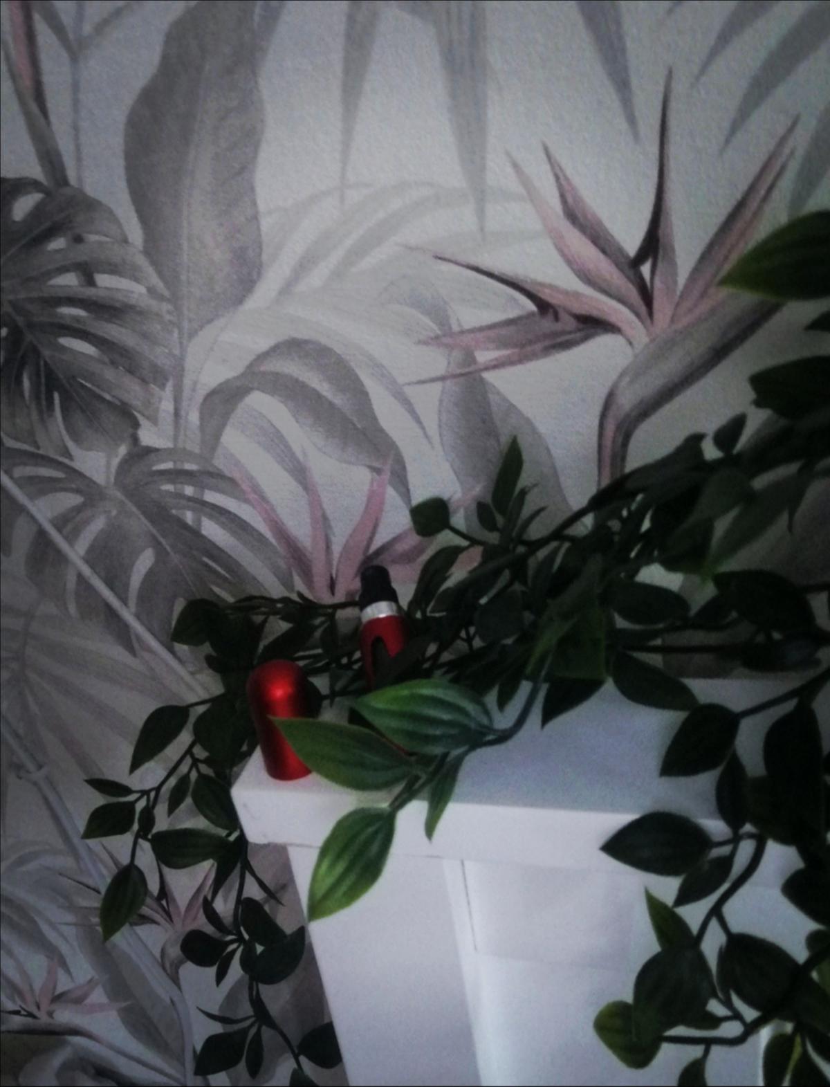 Ruby Woo MAC perfume - a fragrance for women 2016