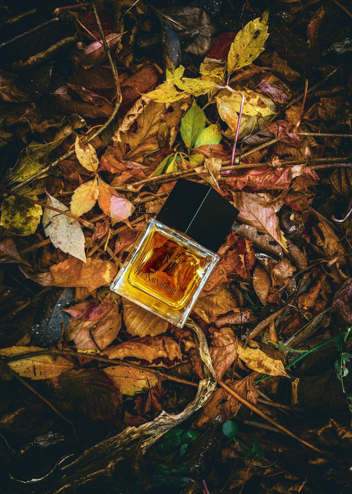 M7 Yves Saint Laurent cologne - a fragrance for men 2002