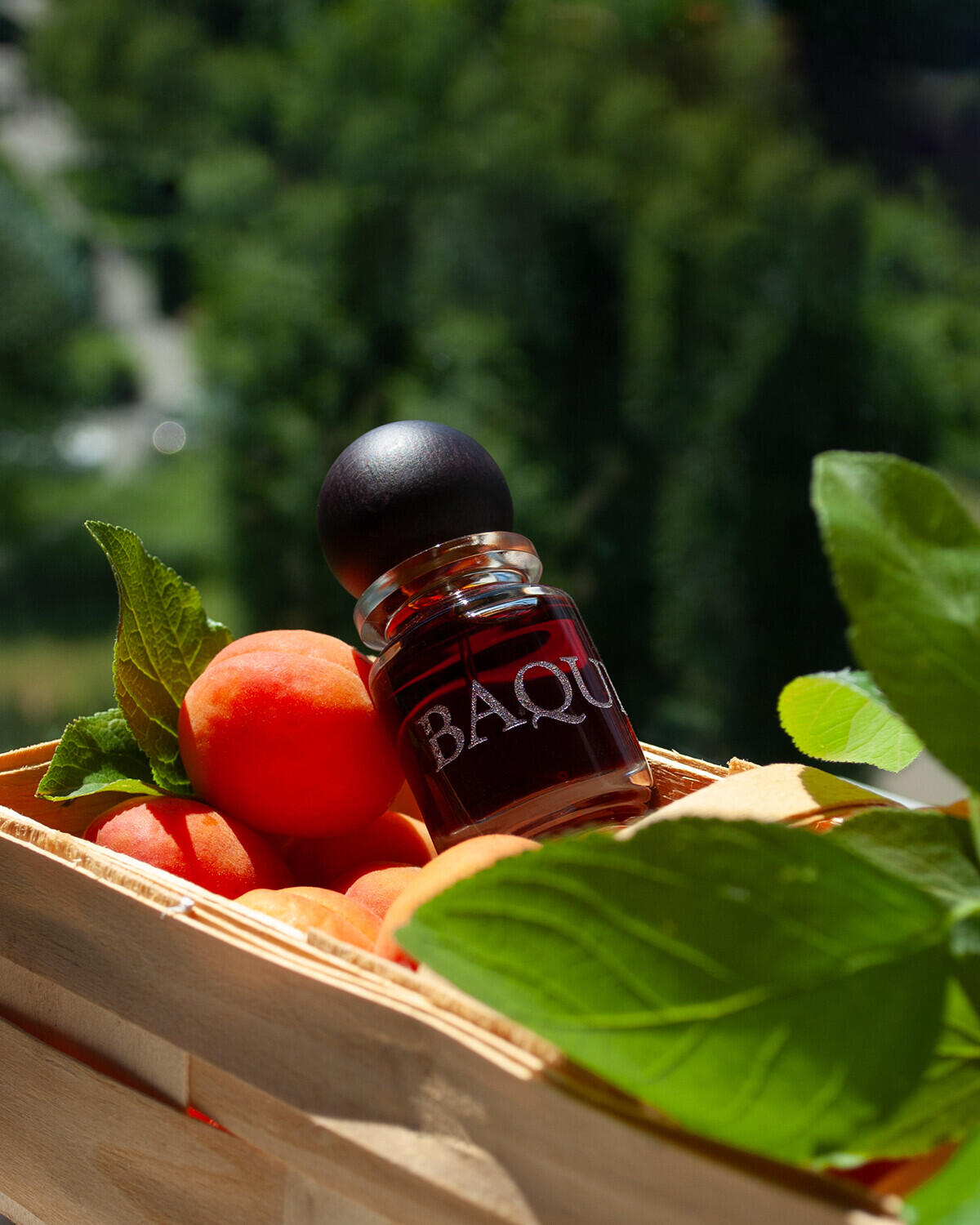 Baque Slumberhouse perfume - a fragrance for women and men 2012