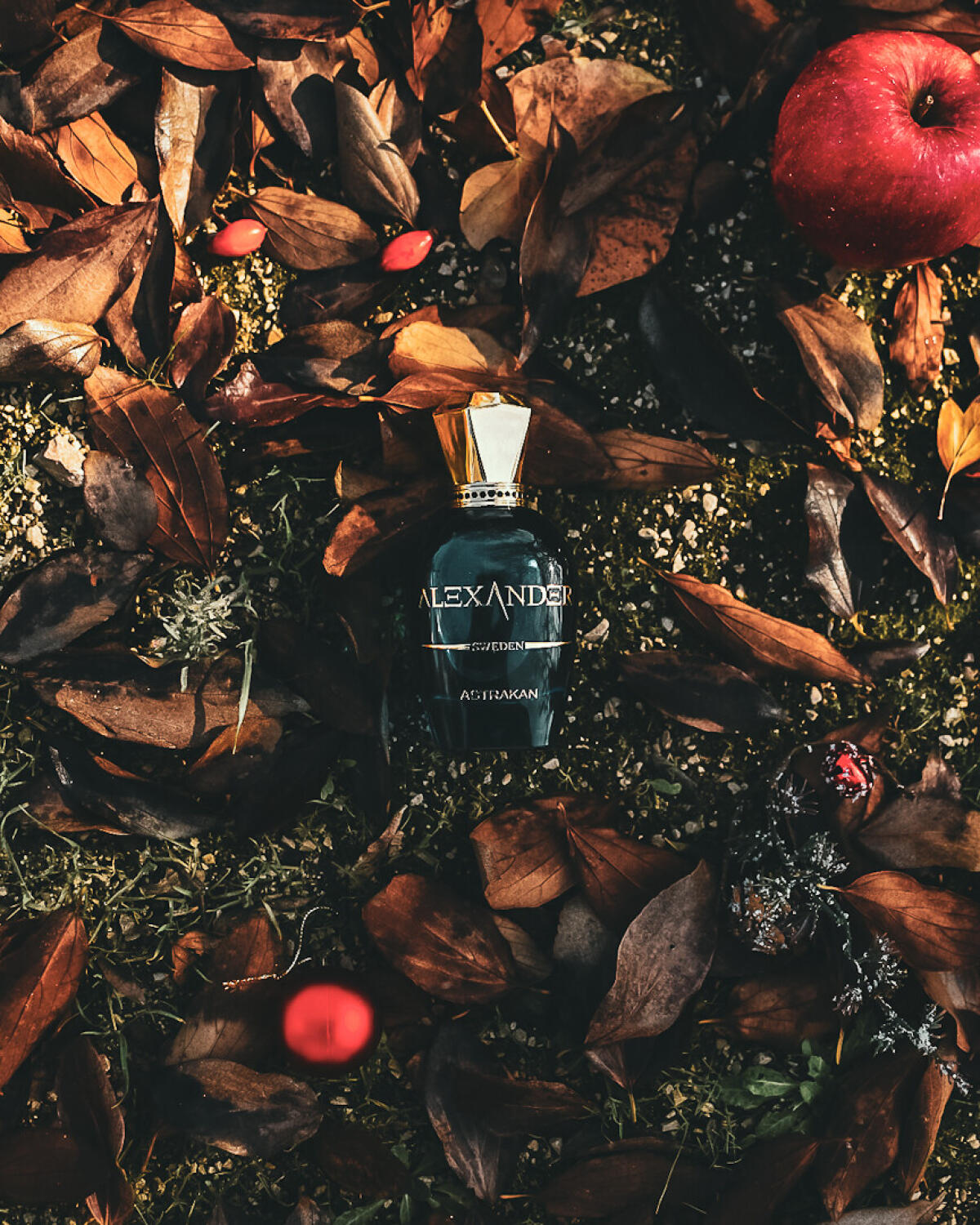 Astrakan Alexander perfume - a fragrance for women and men 2020