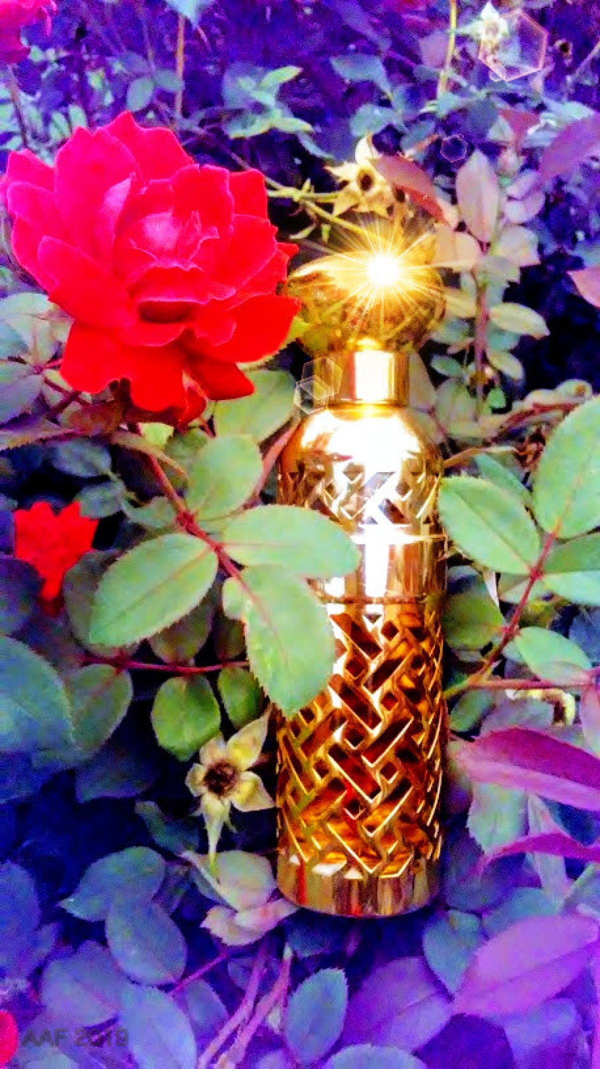 Shalimar Eau de Toilette Guerlain perfume - a fragrância Feminino