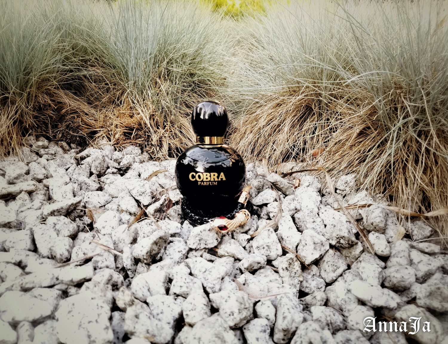 Cobra Jeanne Arthes perfume - a fragrance for women