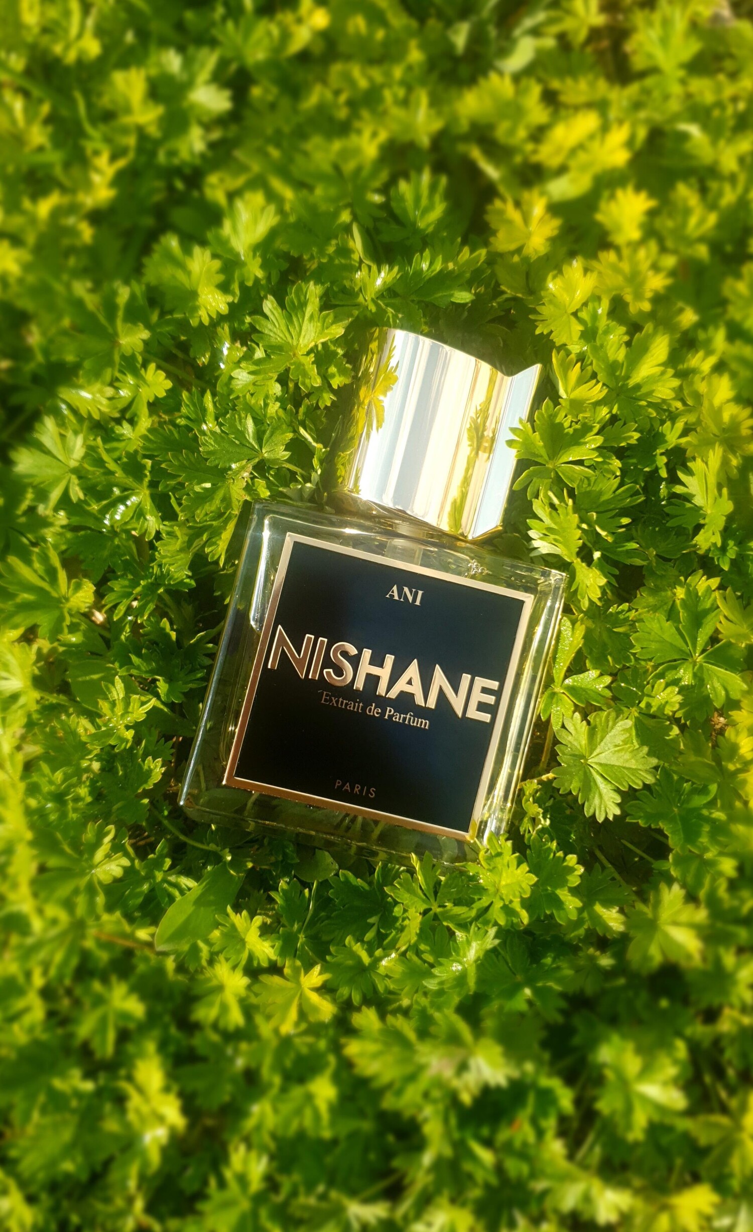Ani Nishane perfume - a fragrance for women and men 2019