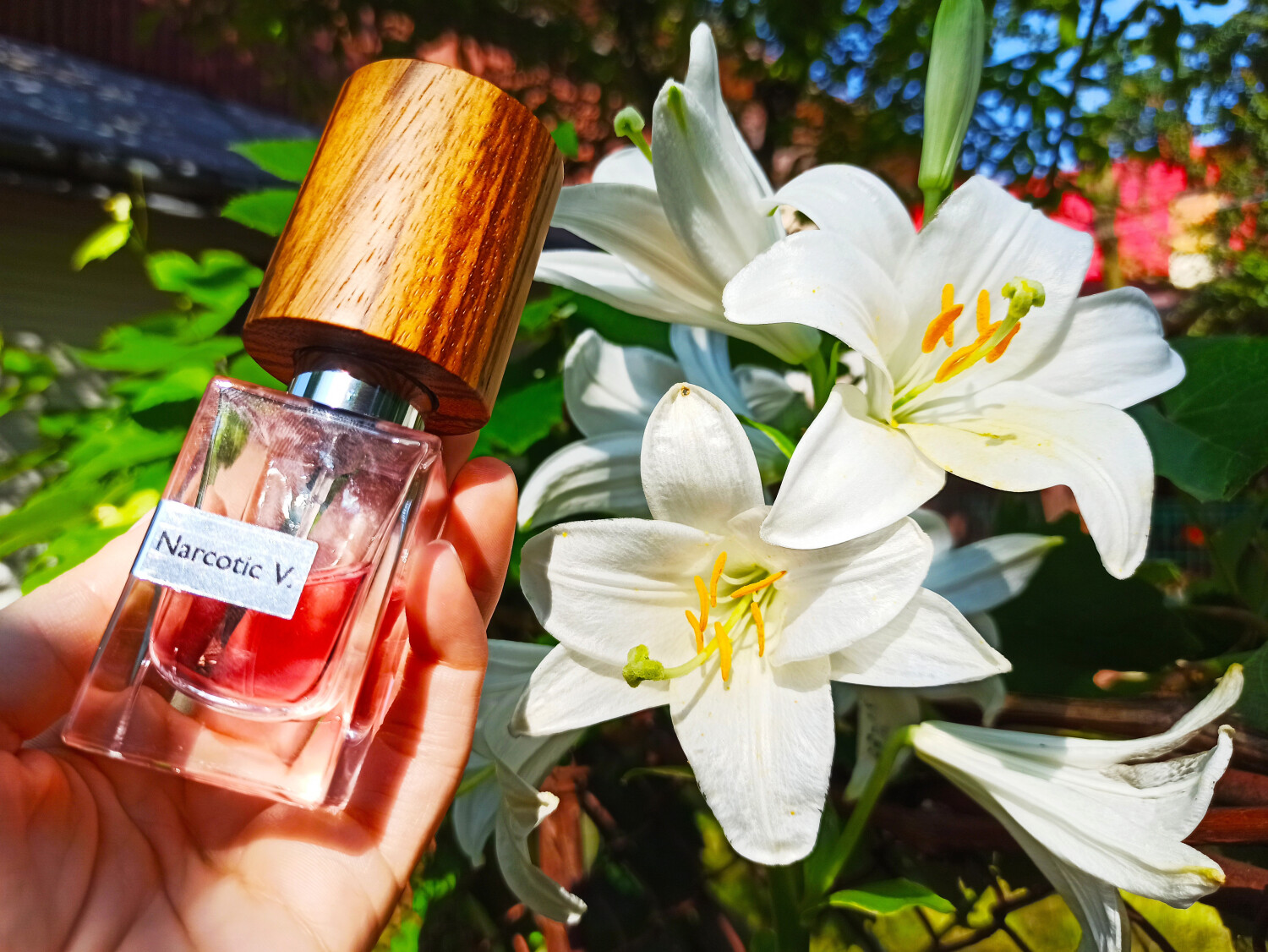 Narcotic Venus Nasomatto perfume - a fragrance for women