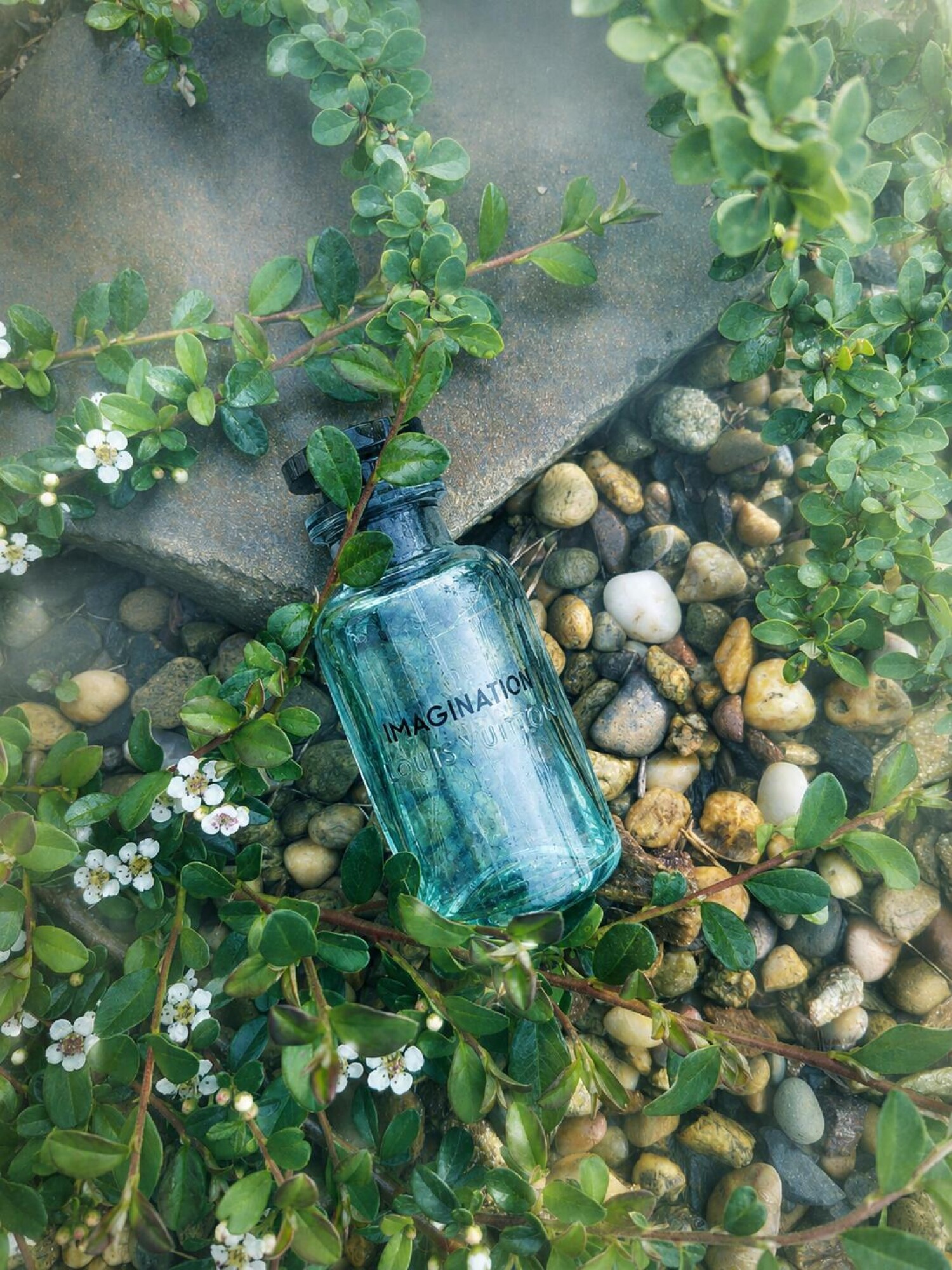 Imagination Louis Vuitton Colônia - a fragrância Masculino 2021