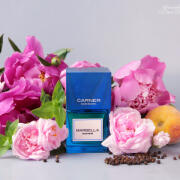 Marbella Carner Barcelona perfume - a fragrance for women and men 2020