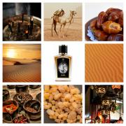 Camel Zoologist Perfumes perfume - a fragrance for women and men 2017