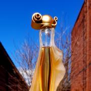 Organza Indécence Givenchy perfume - a fragrance for women 1999