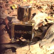 Ani Nishane perfume - a fragrance for women and men 2019