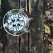 Living Lalique Lalique perfume - a fragrance for women 2015