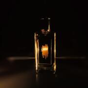 Insomnia Faviol Seferi perfume - a fragrance for women and men 2017