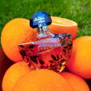 Shalimar Eau De Parfum Serie Limitee Guerlain perfume - a novo ...