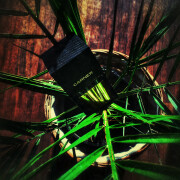 Black Calamus Carner Barcelona perfume - a fragrance for women and men 2016