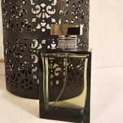 Romance Silver Ralph Lauren cologne - a fragrance for men 2005