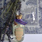 Lavandula Penhaligon's perfume - a fragrance for women and men 2002