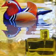 Mandarina Duck Mandarina Duck perfume - a fragrance for women 2004