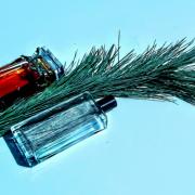 Arz el-rab Parfums Berdoues perfume - a fragrance for women and men 2015