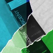 Silver Scent Intense Jacques Bogart cologne - a fragrance for men 2009