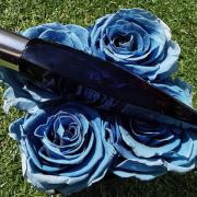 Angel Elixir Mugler perfume - a new fragrance for women 2023