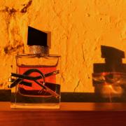 Libre Intense Yves Saint Laurent perfume - a new fragrance for women 2020