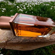 Altamir Ted Lapidus cologne - a fragrance for men 2007