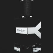 Y Eau de Parfum Yves Saint Laurent Colonia - una nuevo fragancia para ...