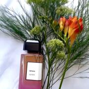 Impadia BDK Parfums fragancia - una nuevo fragancia para Hombres y ...