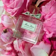 Miss Dior Blooming Bouquet Dior perfume - a fragrance for women 2014