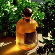 Mango Punch PARIS CORNER perfume - a new fragrance for women and men 2025