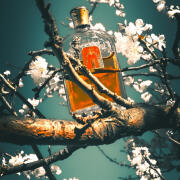 Красная Москва (Red Moscow) Новая Заря (The New Dawn) perfume - a ...