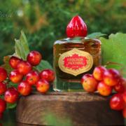 Красная Москва (Red Moscow) Новая Заря (The New Dawn) perfume - a ...