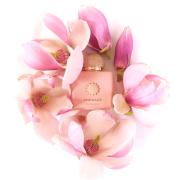 Guidance Amouage perfume - a new fragrance for women and men 2023