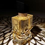 Libre Yves Saint Laurent fragancia - una nuevo fragancia para Mujeres 2019