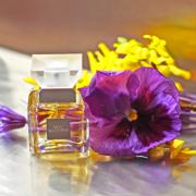 Very Valentino Valentino perfume - a fragrance for women 1998