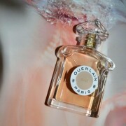 Idylle Eau de Parfum Guerlain perfume - a fragrance for women 2021