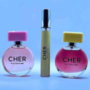 70's Couture Cher perfume - a new fragrance for women and men 2022