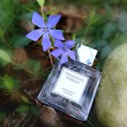 Embrace Periwinkle & Iris Vera Wang perfume - a fragrance for women 2015