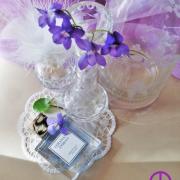 Embrace Periwinkle & Iris Vera Wang perfume - a fragrance for women 2015