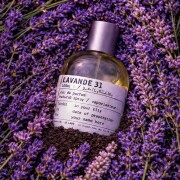 Lavande 31 Le Labo perfume - a fragrance for women and men 2023